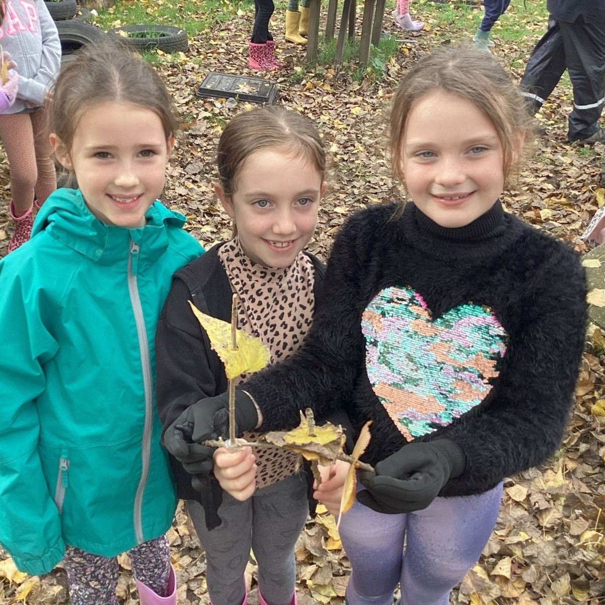 Cardinal Newman Catholic Primary School - Ruby Class Forest School